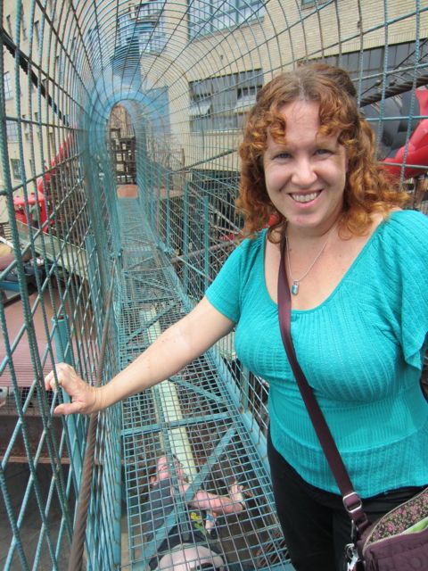 IMG_3629 | Technomadia