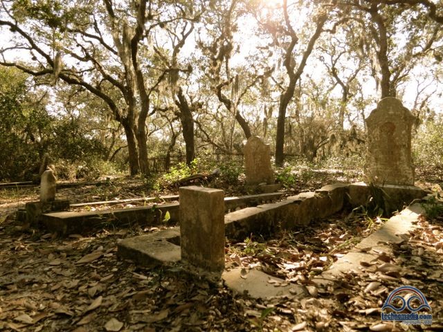 Another Week in Paradise | Technomadia