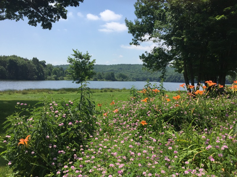 IMG_3192 | Technomadia