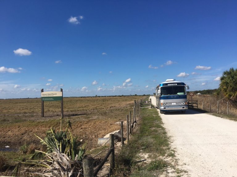 Dinner Island Ranch WMA – Free Florida Boondocking | Technomadia