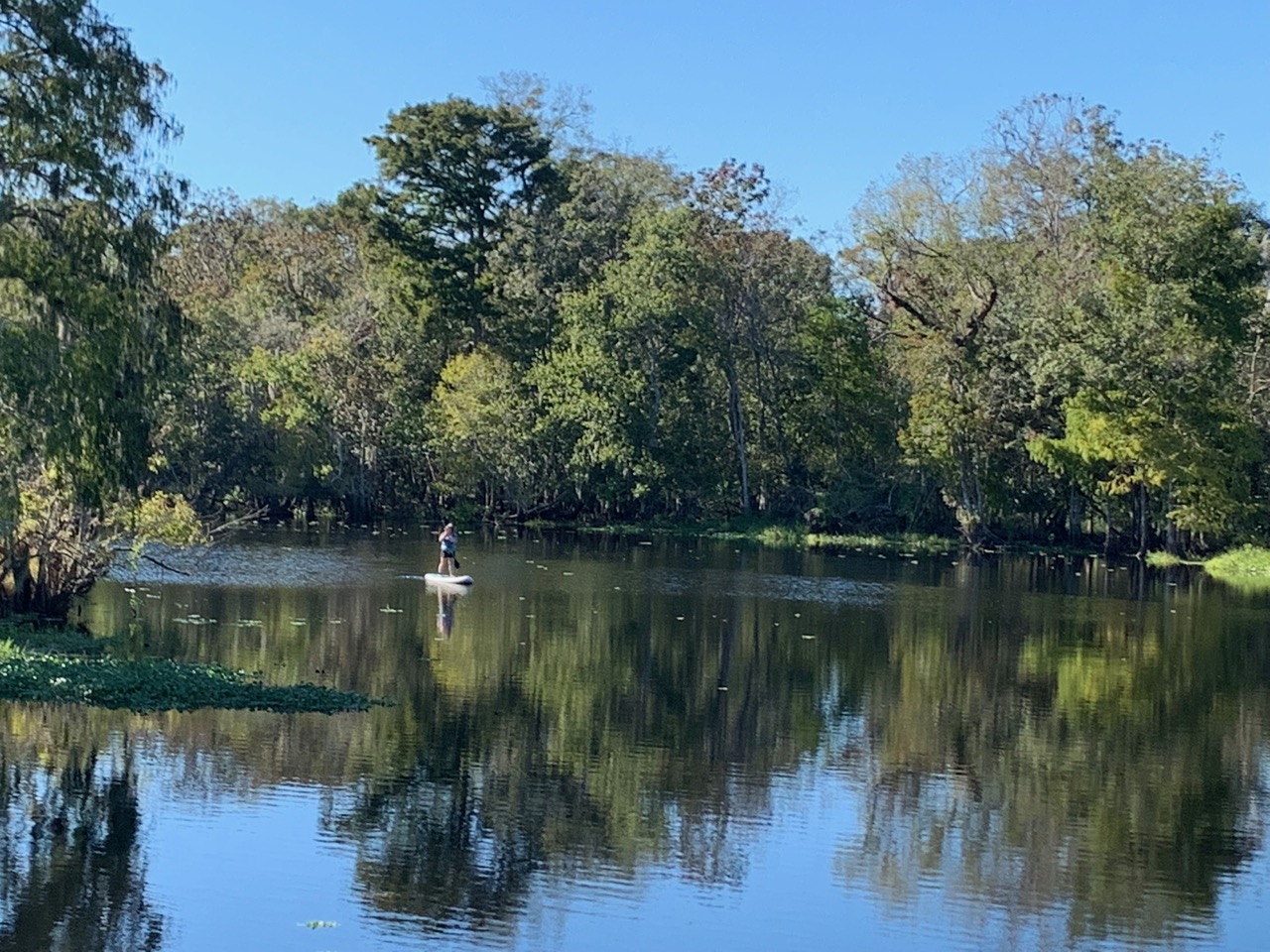Hontoon Island Paddling | Technomadia