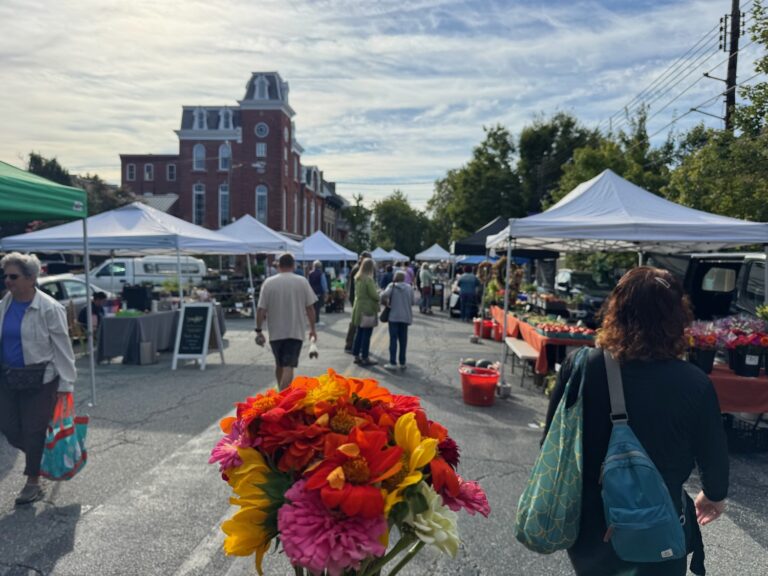 IMG_5805 | Technomadia