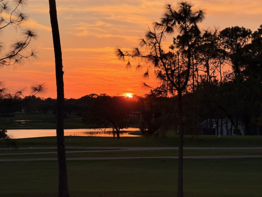 IMG_1991 | Technomadia